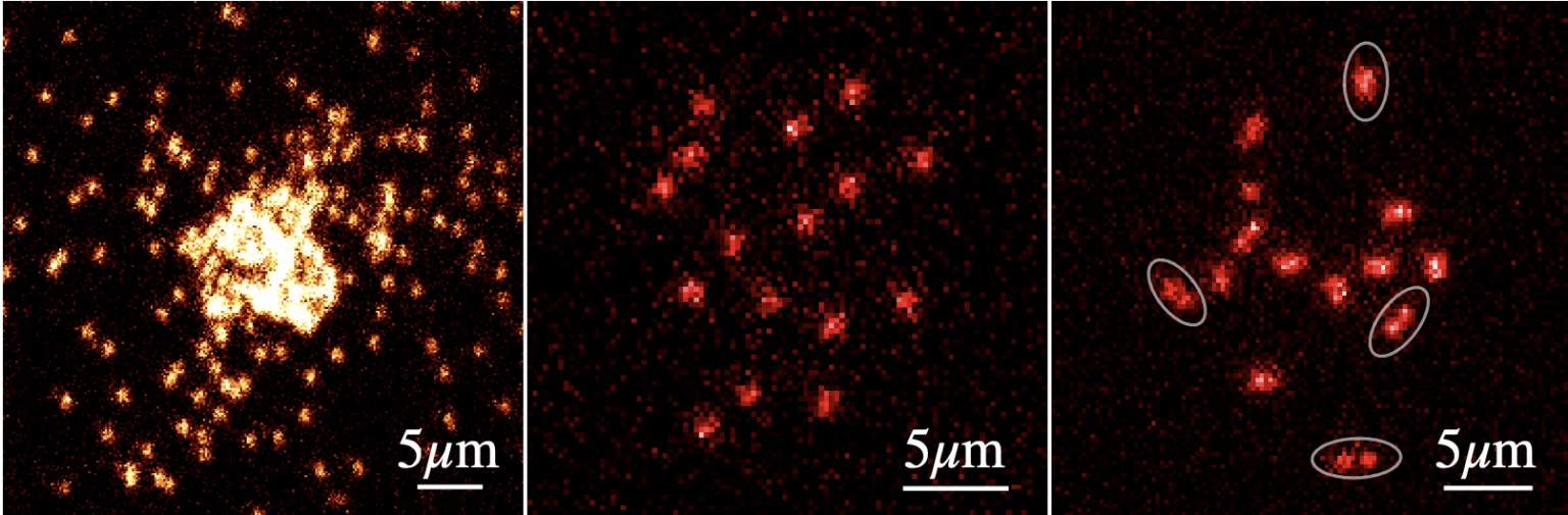 Measuring pair correlations in Bose and Fermi gases via atom-resolved ...